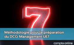 DCG Management : programme, objectifs et préparation UE7