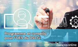 Corrigé DSCG UE3 2024 : management et contrôle de gestion