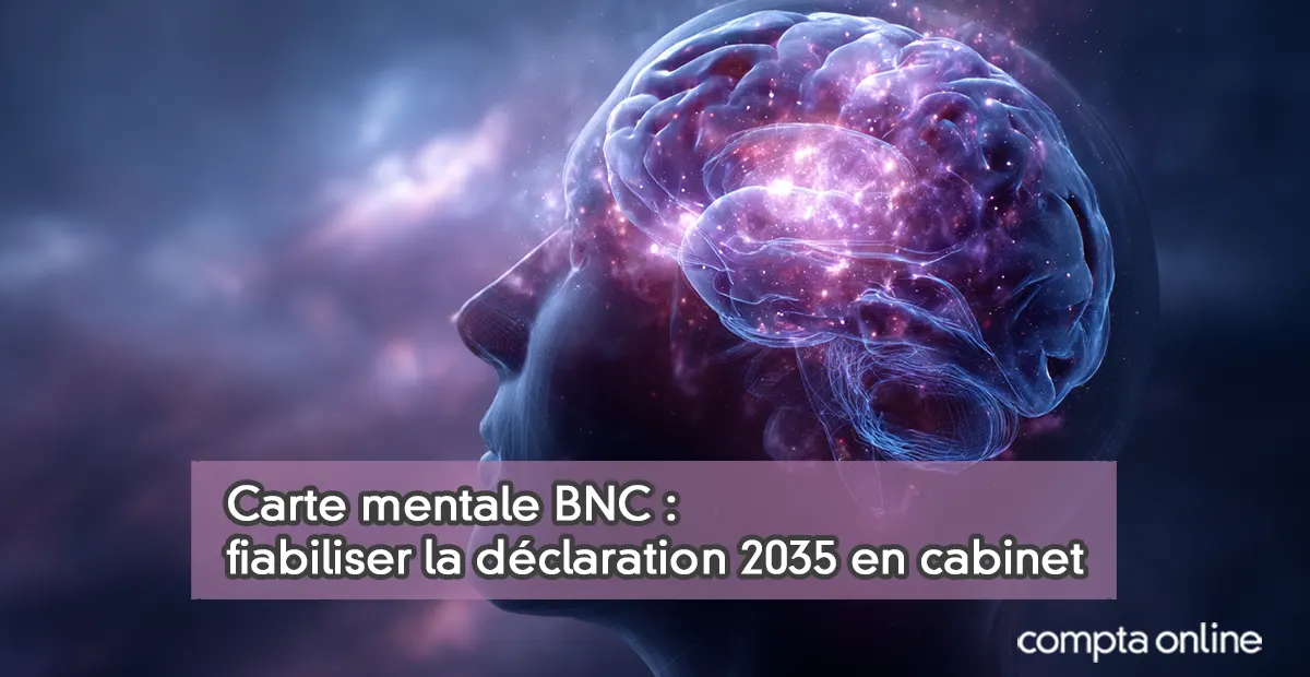 Carte mentale BNC : sécurisez votre liasse fiscale 2035
