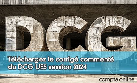 Liste des articles traitant du DCG UE5 Economie