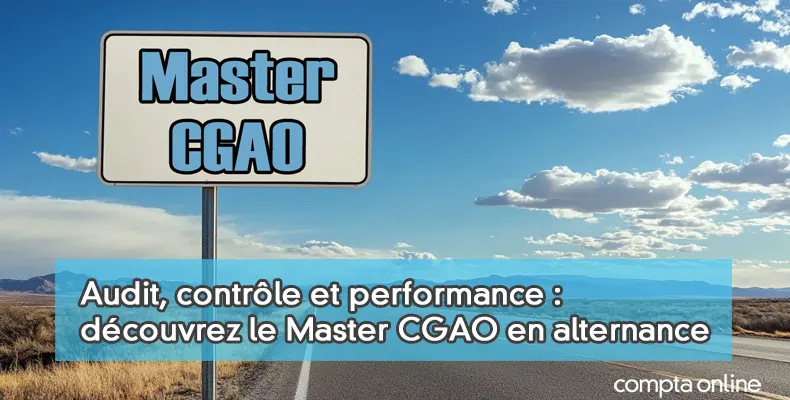 Master CGAO : un tremplin vers les métiers de la finance, de l'audit et ...