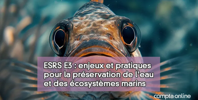 Norme ESRS E3 : ressources hydriques et marines
