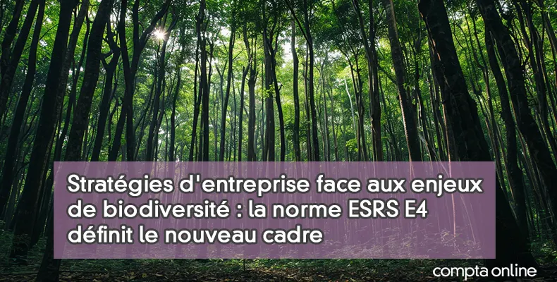 Norme ESRS E4 : biodiversité et écosystèmes