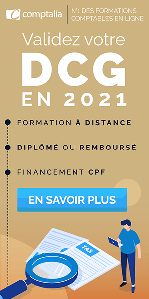 Thème pour rapport de stage DCG UE 13