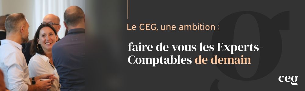Enquête nationale du CEG sur la profession comptable : participez