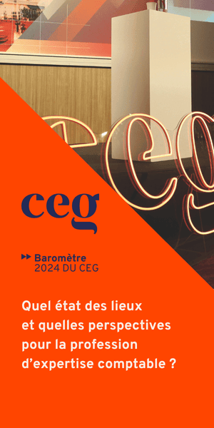 Quelles perspectives pour la profession d'expertise comptable