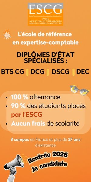 Comptabilisation d'un chèque émis non débité : extourne ou annulation